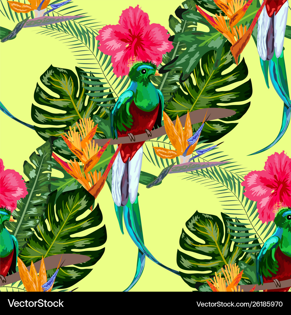 Seamless pattern endangered species birds Vector Image