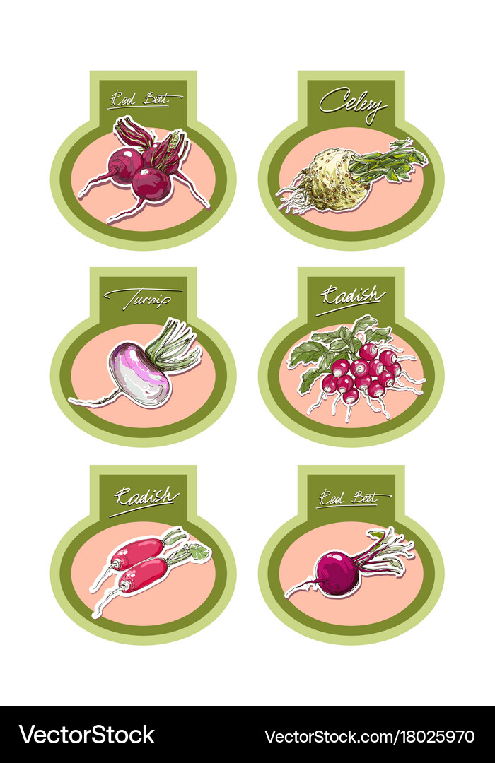 Set of labels with vegetables Royalty Free Vector Image