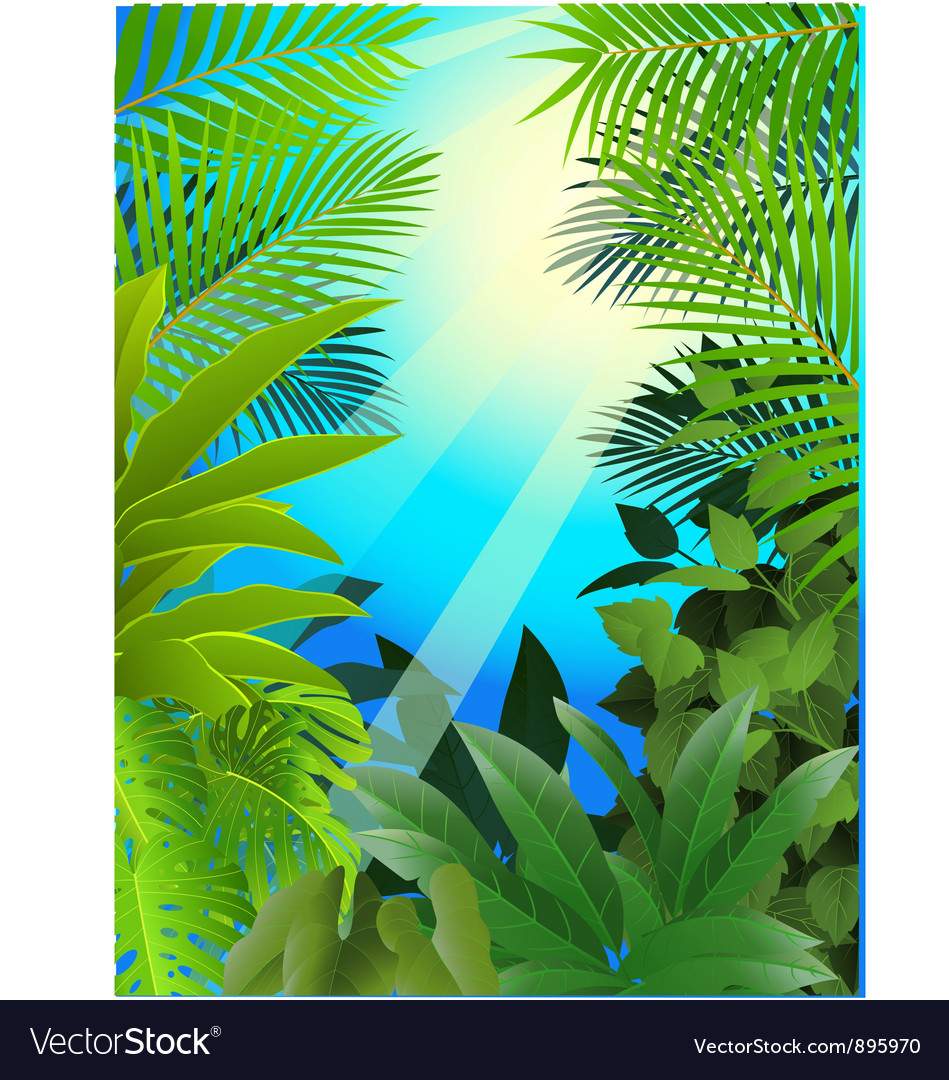 Tropical forest background Royalty Free Vector Image