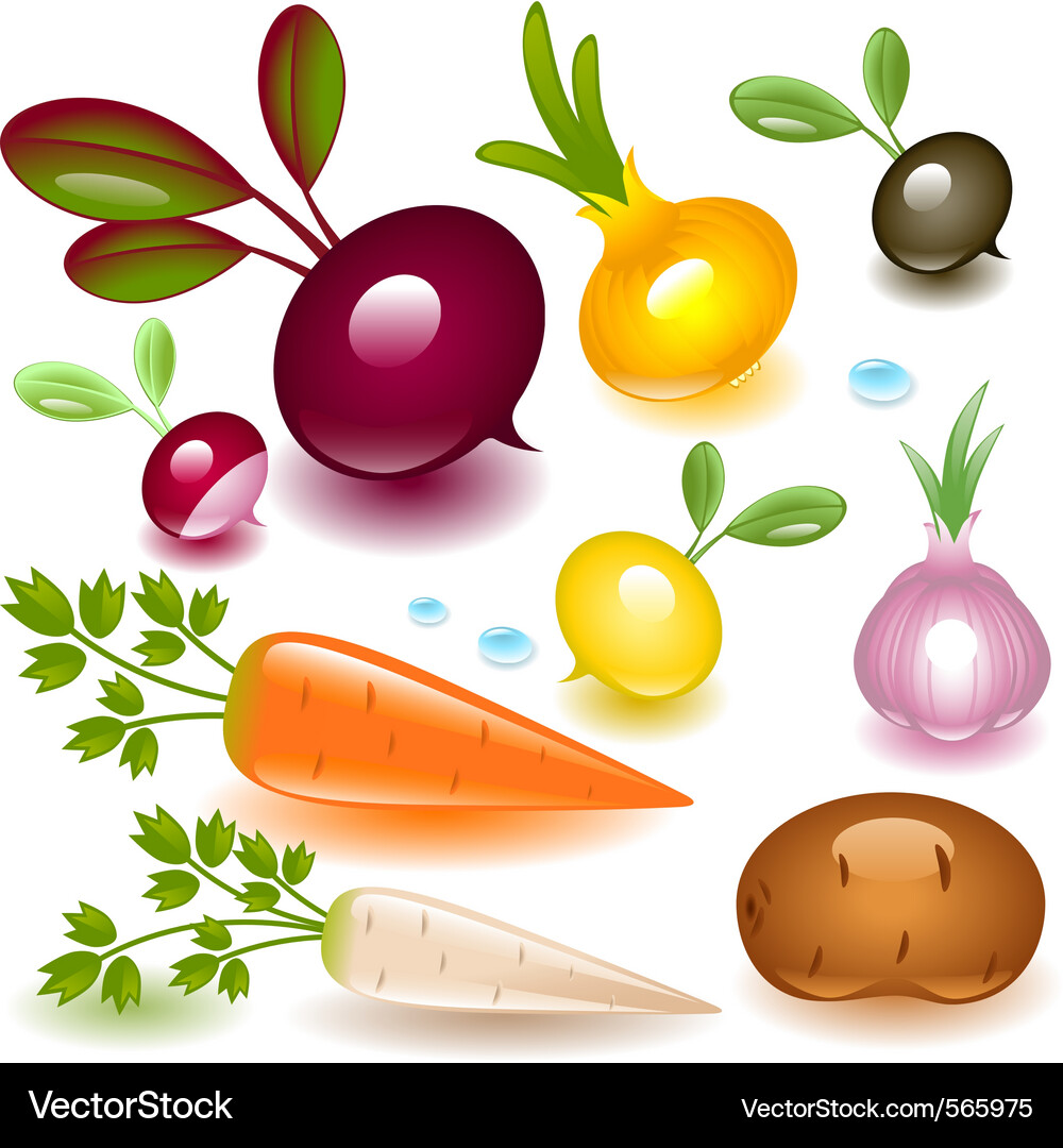 Fresh Vegetable Collection Royalty Free Vector Image