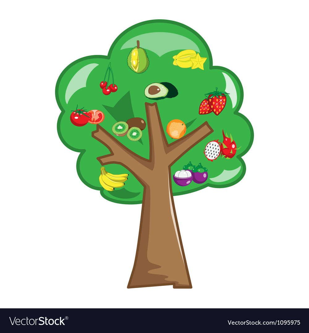 Fruit trees Royalty Free Vector Image - VectorStock