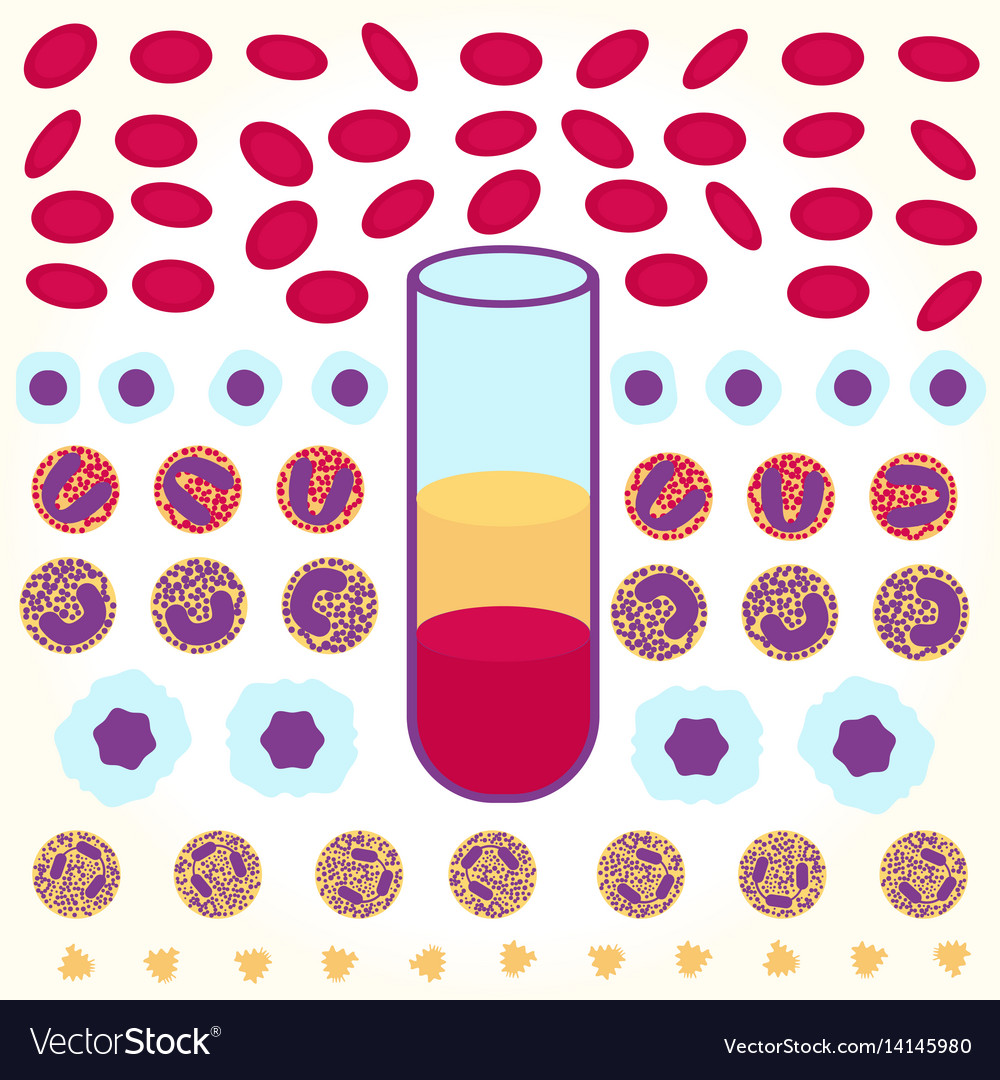 Blood Count Test Royalty Free Vector Image VectorStock blood-count-test-royalty-free-vector-image-vectorstock