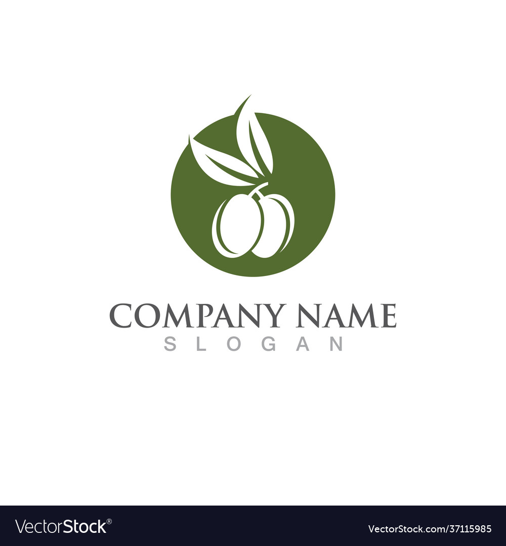 Olive tree Royalty Free Vector Image - VectorStock
