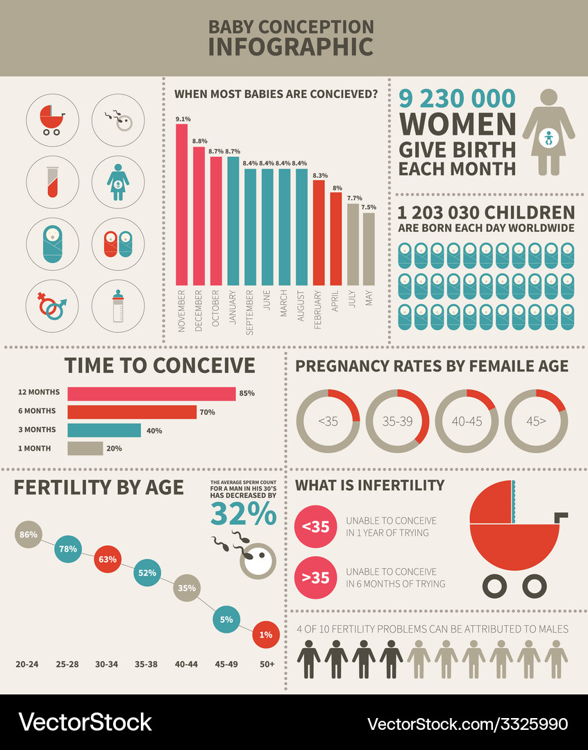 Fertility Conception Infographic Royalty Free Vector Image