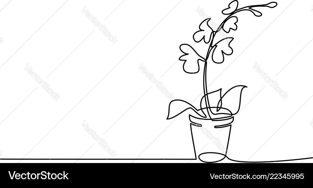 Blooming orchid in pot continuous one line drawing