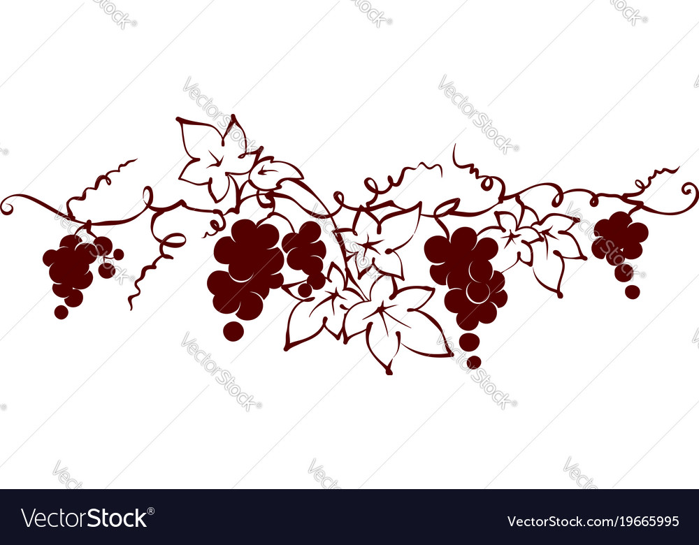 Design elements - vine Royalty Free Vector Image