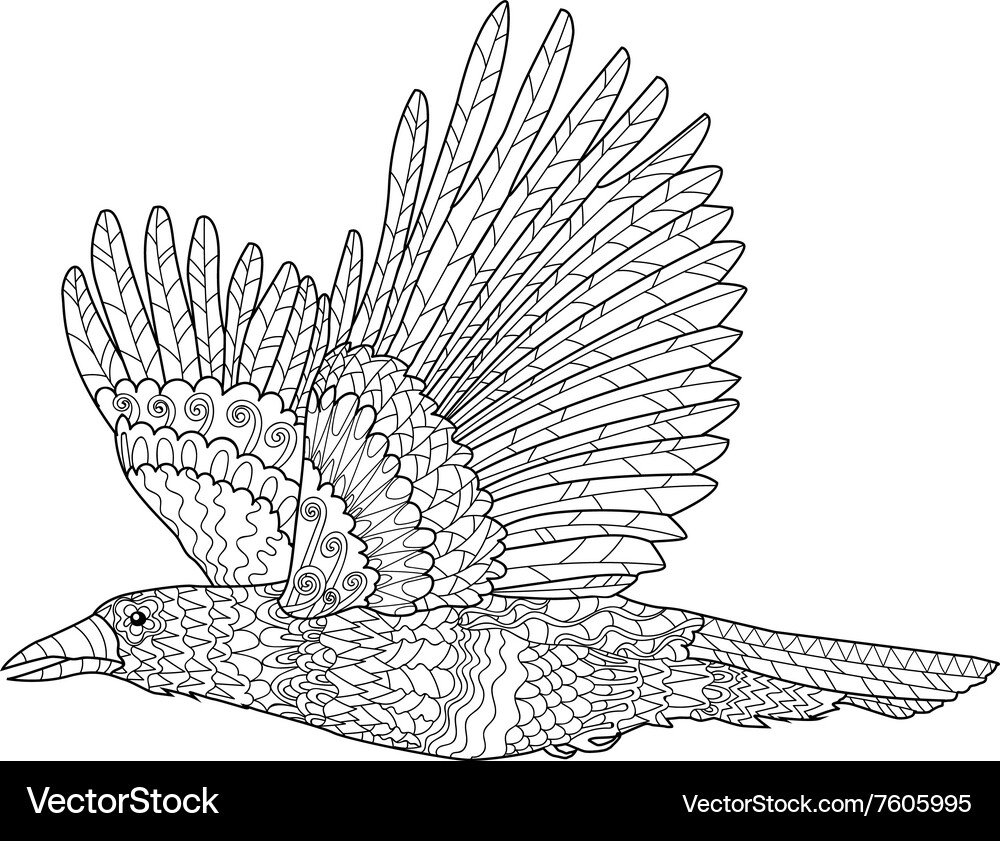 Flying raven with high details Royalty Free Vector Image