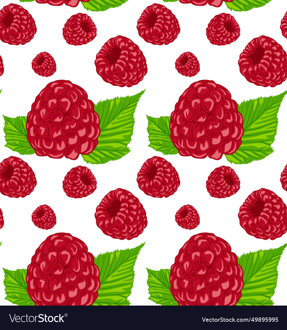 Raspberry print seamless pattern Royalty Free Vector Image