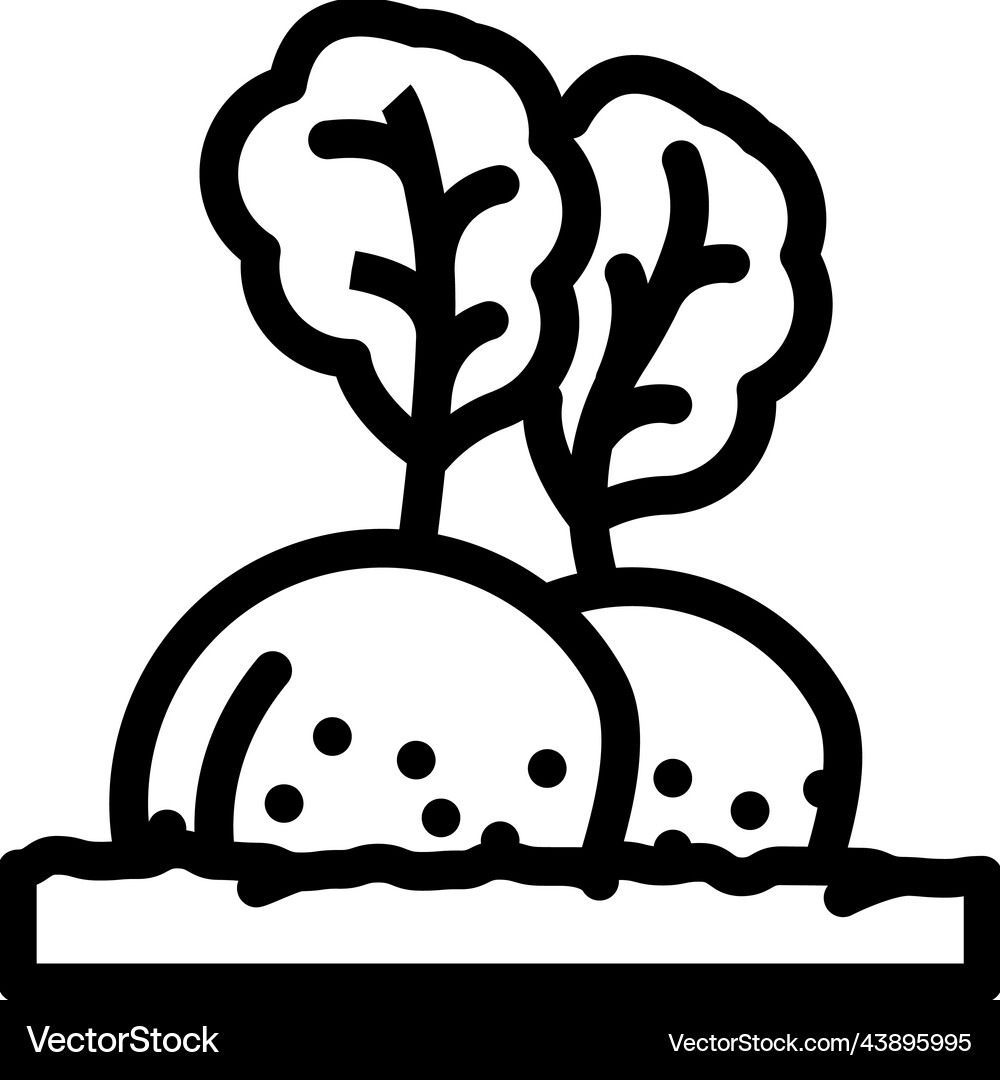 Vegetable garden radishes line icon Royalty Free Vector