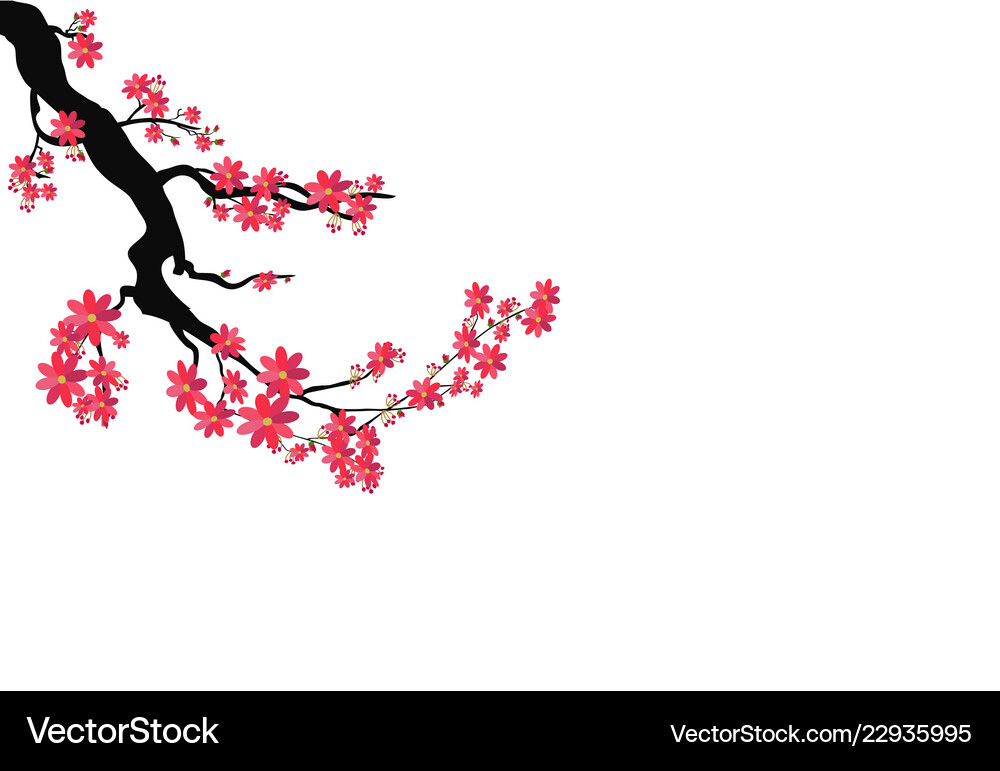 Watercolor sakura frame background with blossom Vector Image