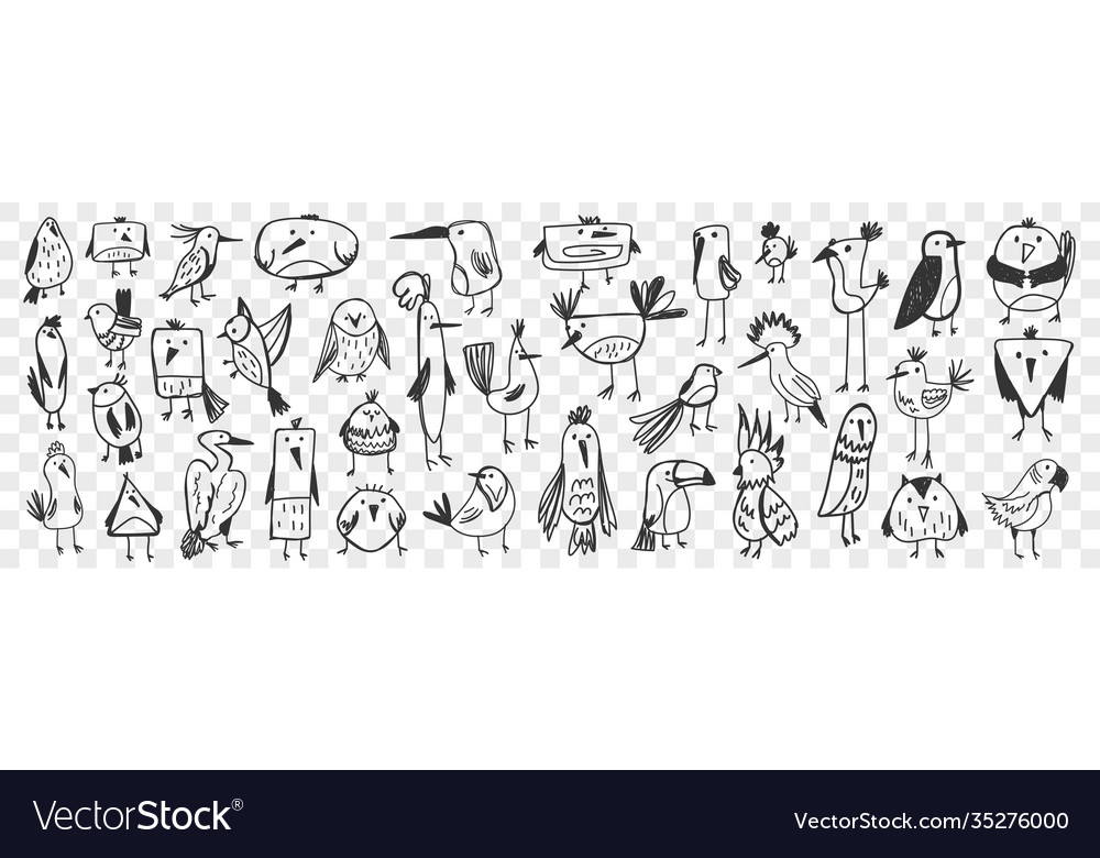 Birds hand drawn doodle set Royalty Free Vector Image