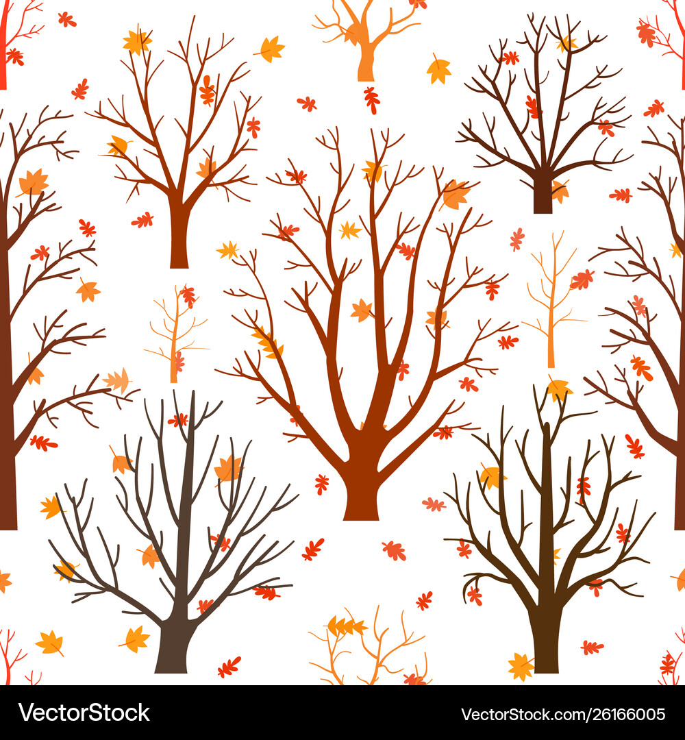 Autumn forest trees pattern a woodland background Vector Image