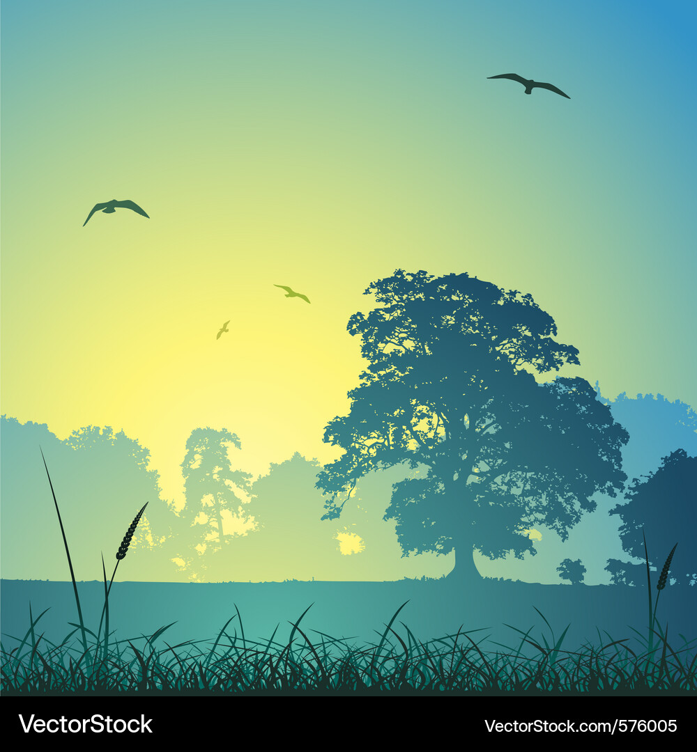 Country meadow landscape Royalty Free Vector Image
