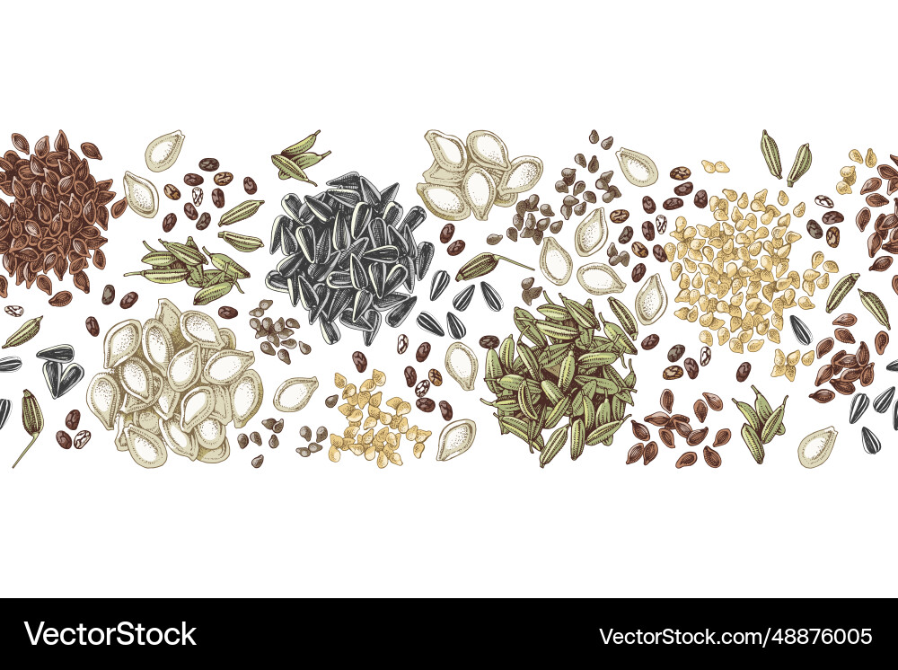 Edible seeds hand drawn seamless border Royalty Free Vector