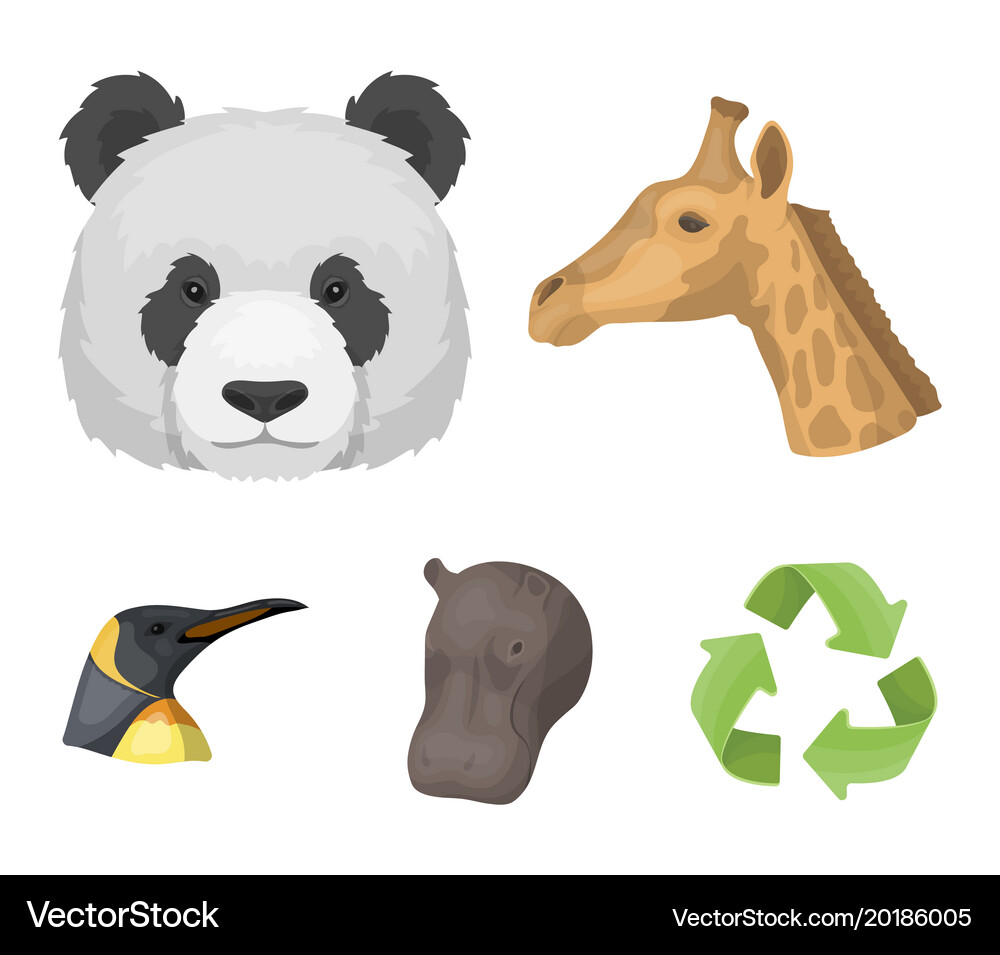 Panda giraffe hippopotamus penguin realistic Vector Image