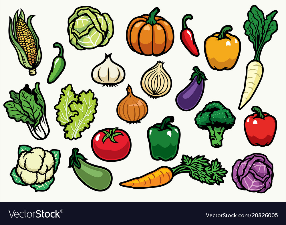 Vegetables set Royalty Free Vector Image - VectorStock