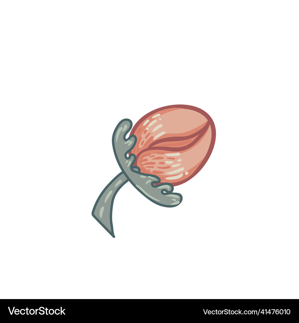 Floral vintage element isolated enchanted Vector Image