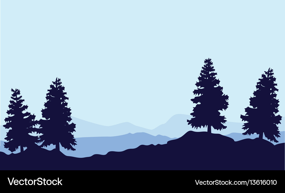 Silhouette tree spruce on hill landscape Vector Image