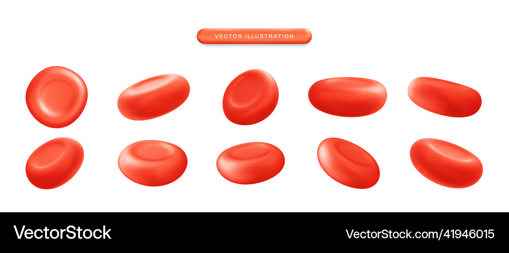 Red blood cell realistic 3d icon set Royalty Free Vector