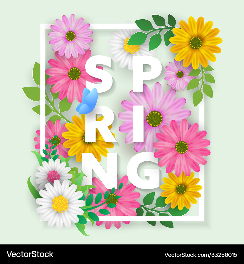 Spring background or banner design with lovely Vector Image