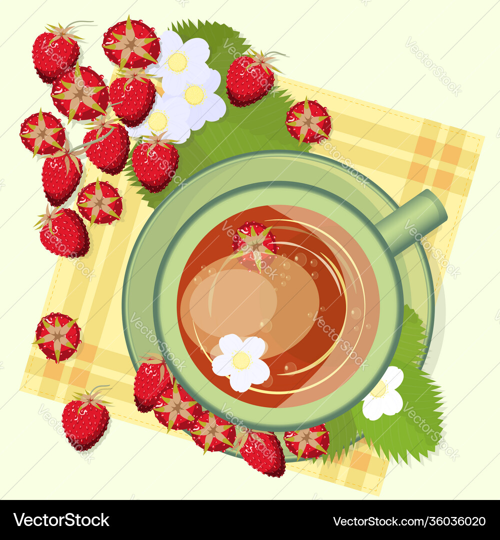 A cup strawberry tea with berries leaves Vector Image