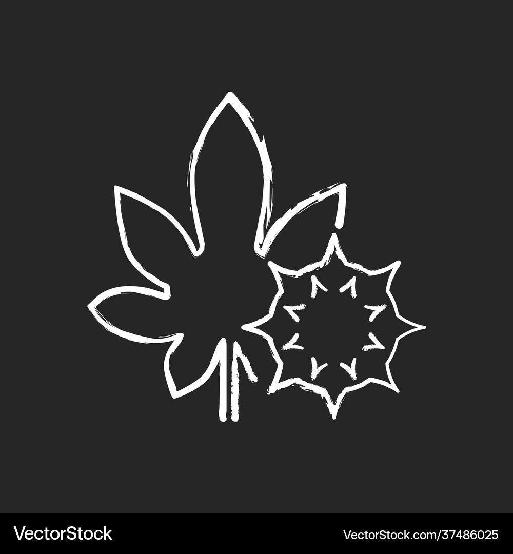 Castor bean chalk white icon on black background Vector Image