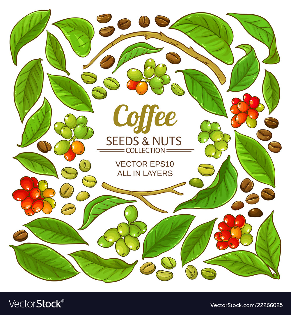Coffee elements set Royalty Free Vector Image - VectorStock Coffee elements set Royalty Free Vector Image - VectorStock