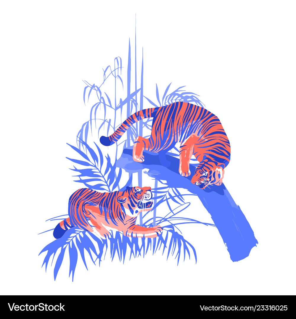 Graphic design with two aggressive fighting tigers