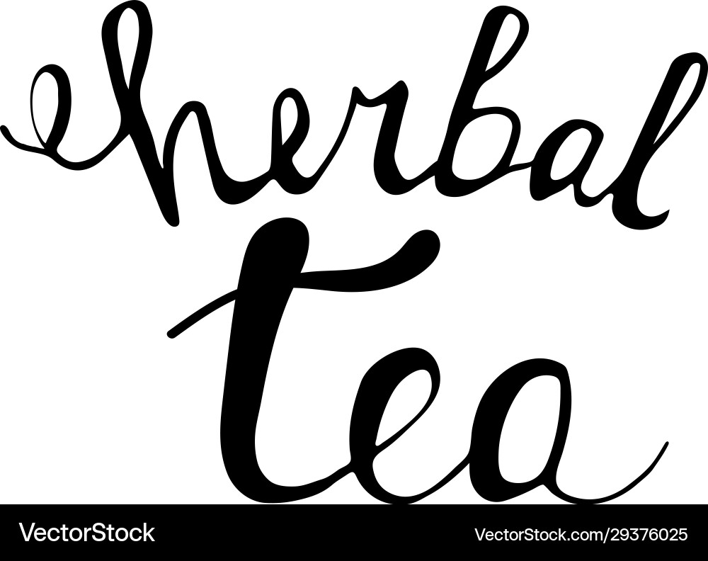 Hand drawn unique lettering herbal tea Royalty Free Vector