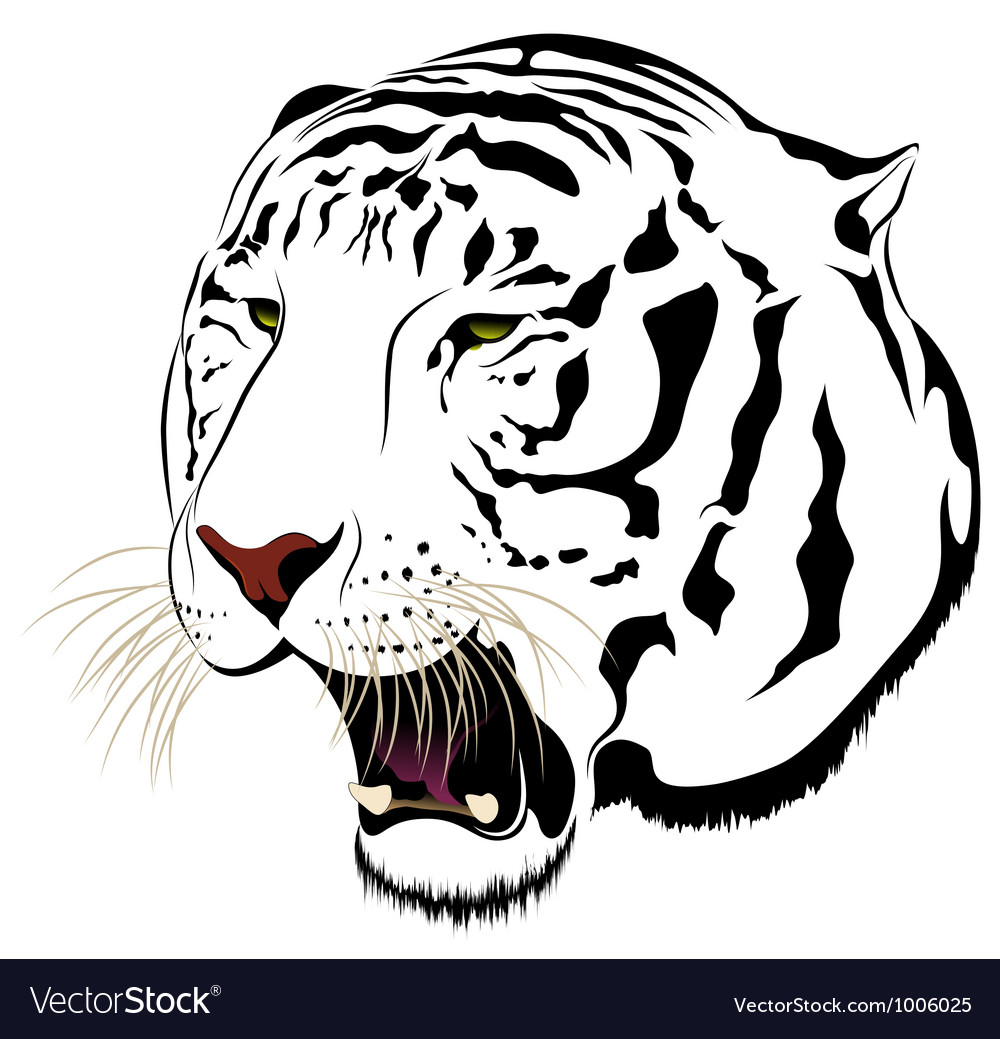 Tiger Royalty Free Vector Image - VectorStock