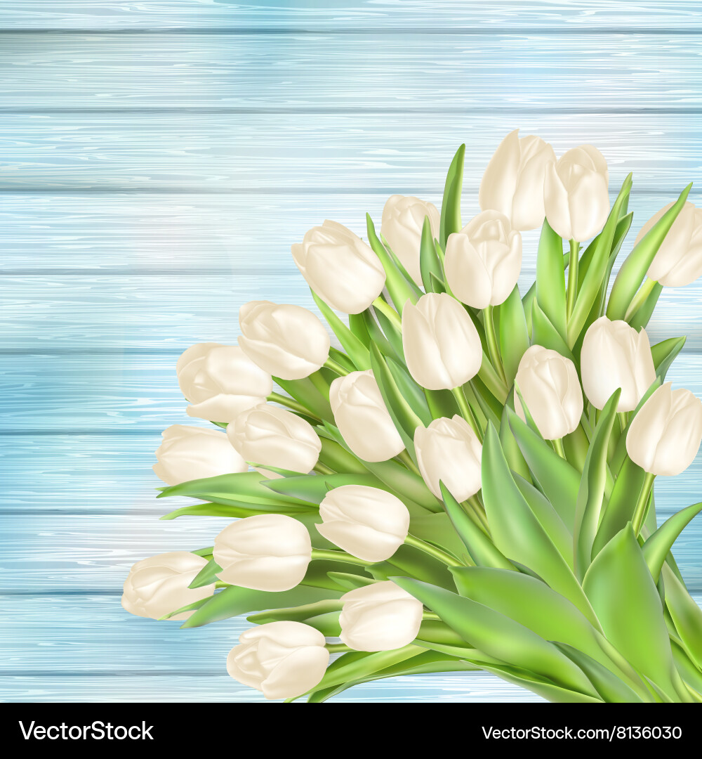 Bouquet white tulips eps 10 Royalty Free Vector Image