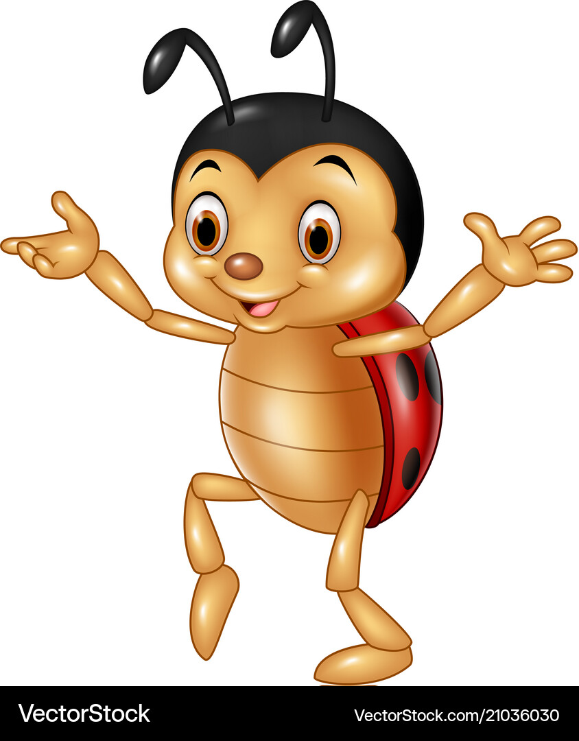 Cartoon happy ladybug isolated on white background