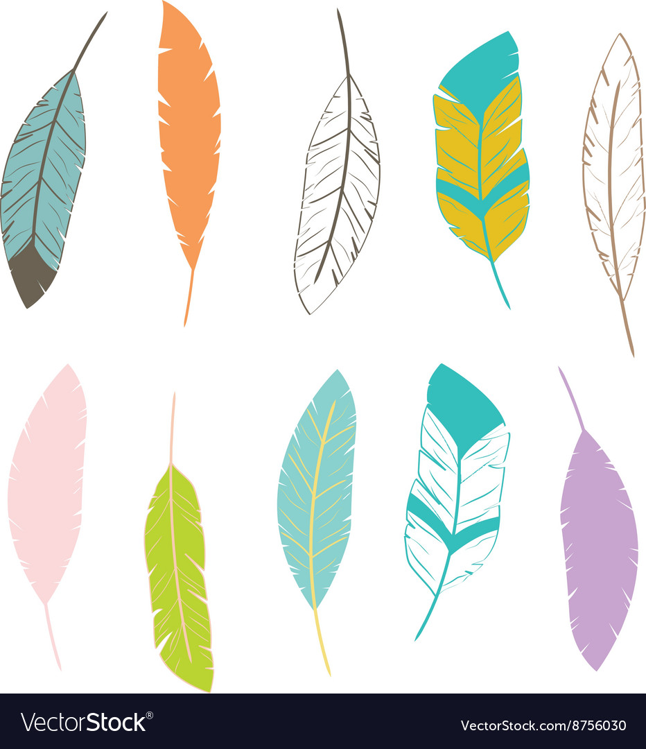 Feathers Design Elements Royalty Free Vector Image
