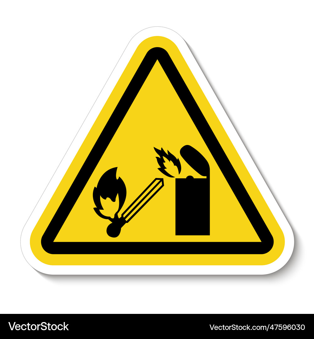 No lighter symbol sign on white background Vector Image