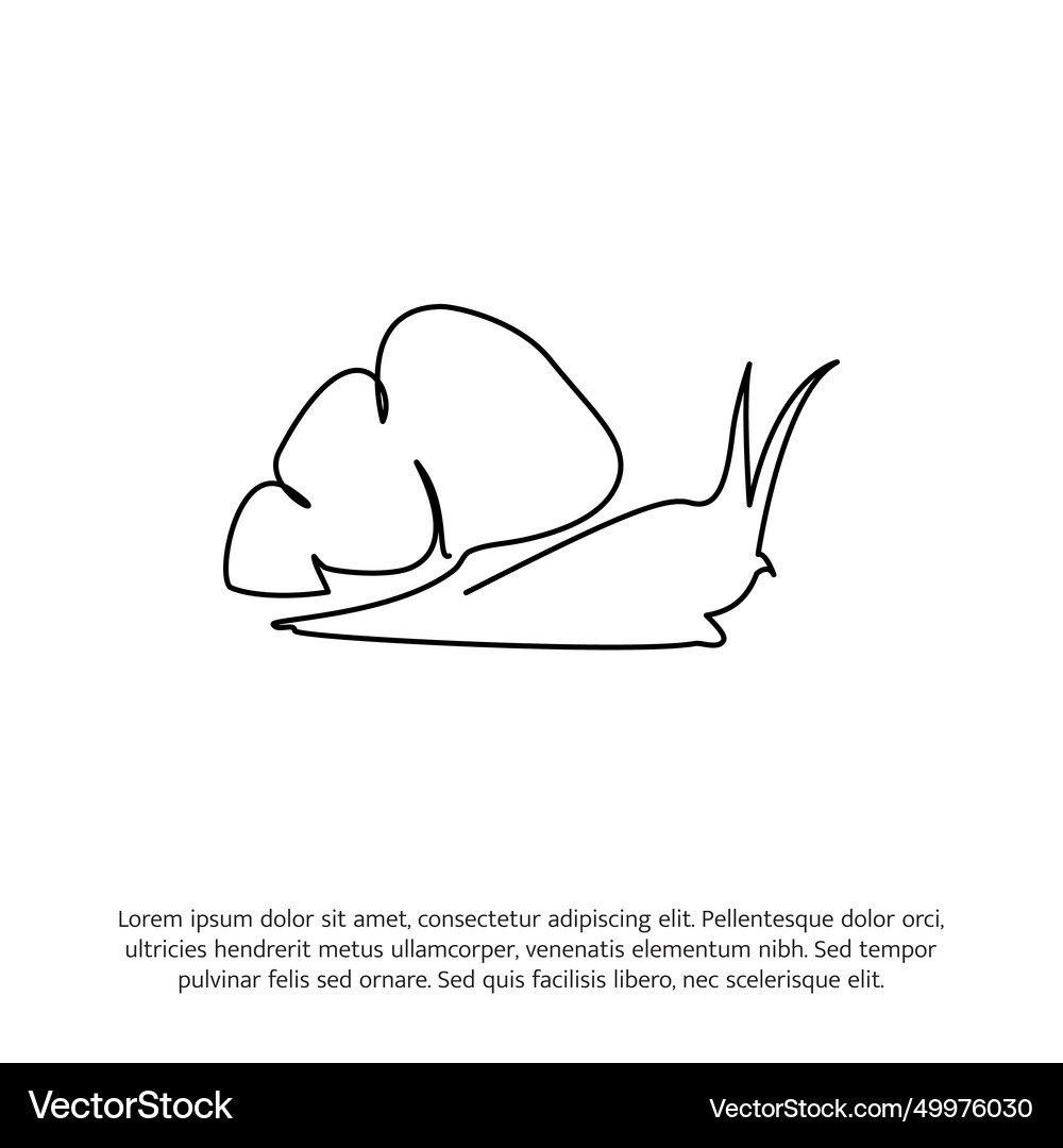 Snail one continuous line drawing cute decoration Vector Image