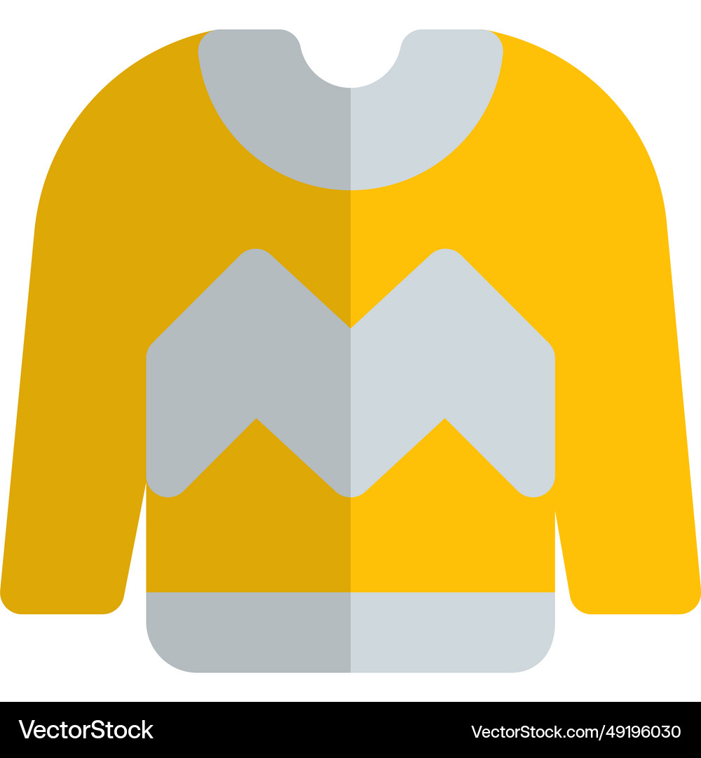 Stylish sweater with an attractive design Vector Image