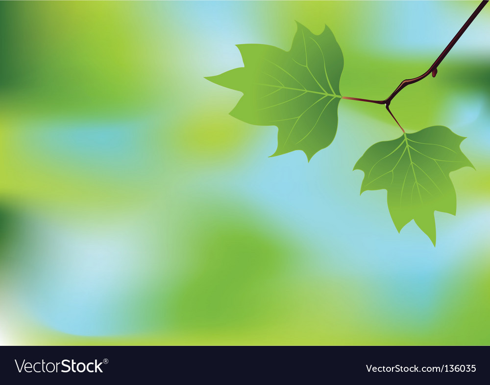 Spring branch background Royalty Free Vector Image