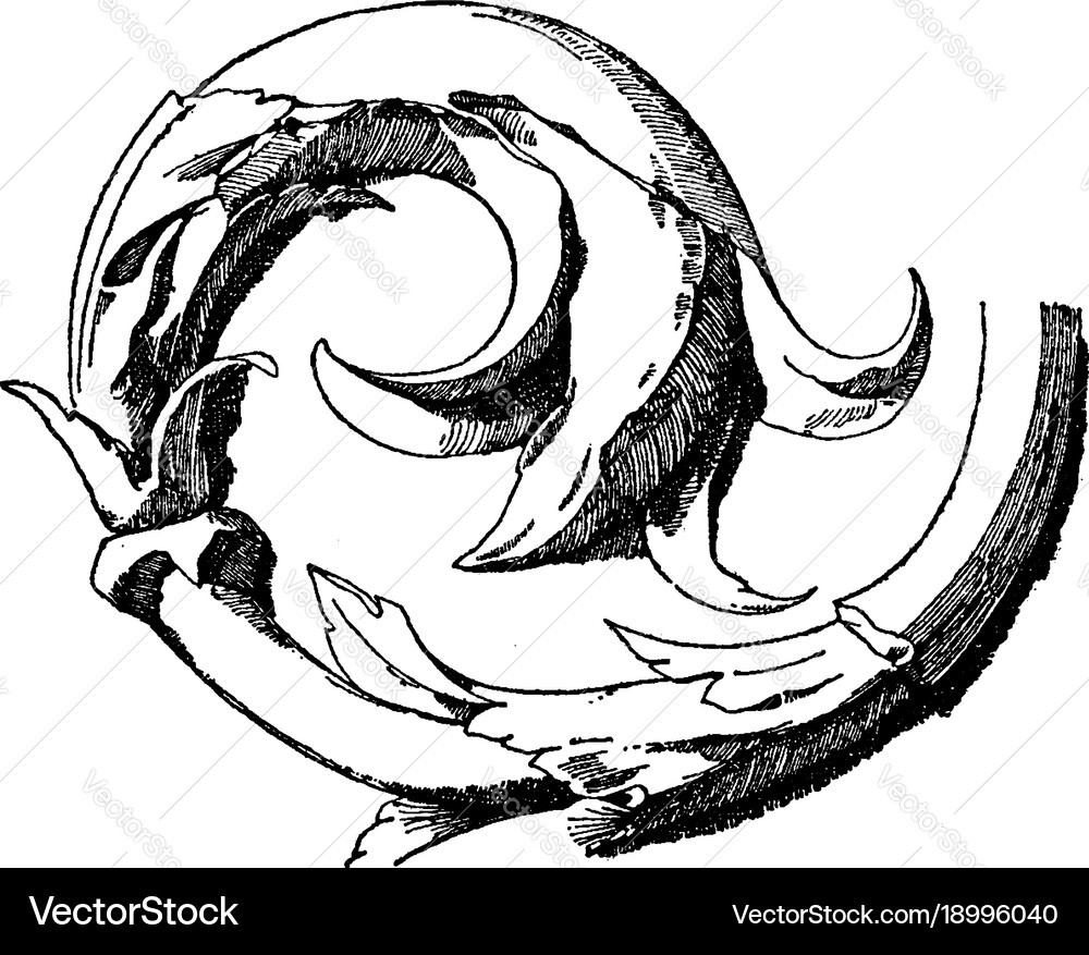 Fragment a greek relief have natural forms Vector Image