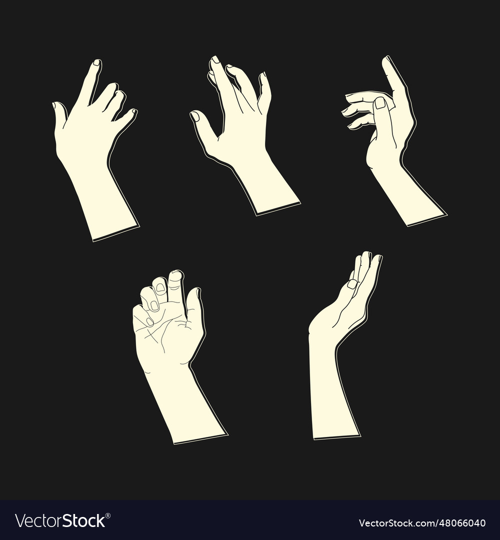 Set of human hands with different graceful Vector Image