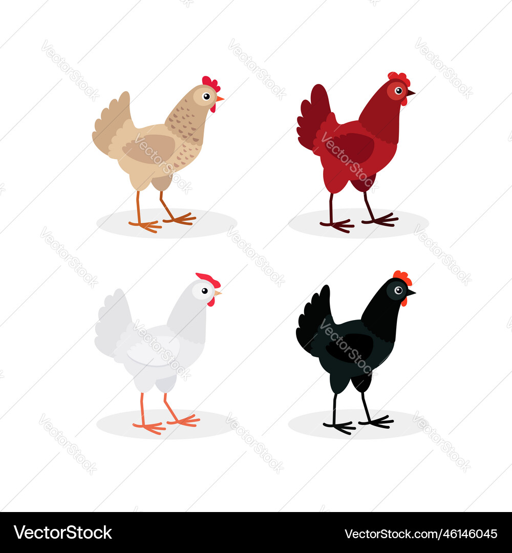 Colorful hens set isolated on white background Vector Image