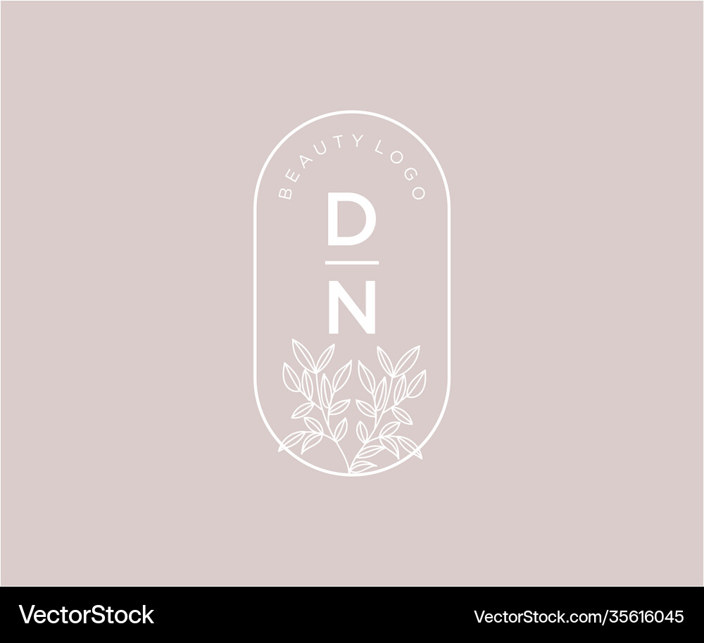 Initial dn letters beautiful floral feminine Vector Image