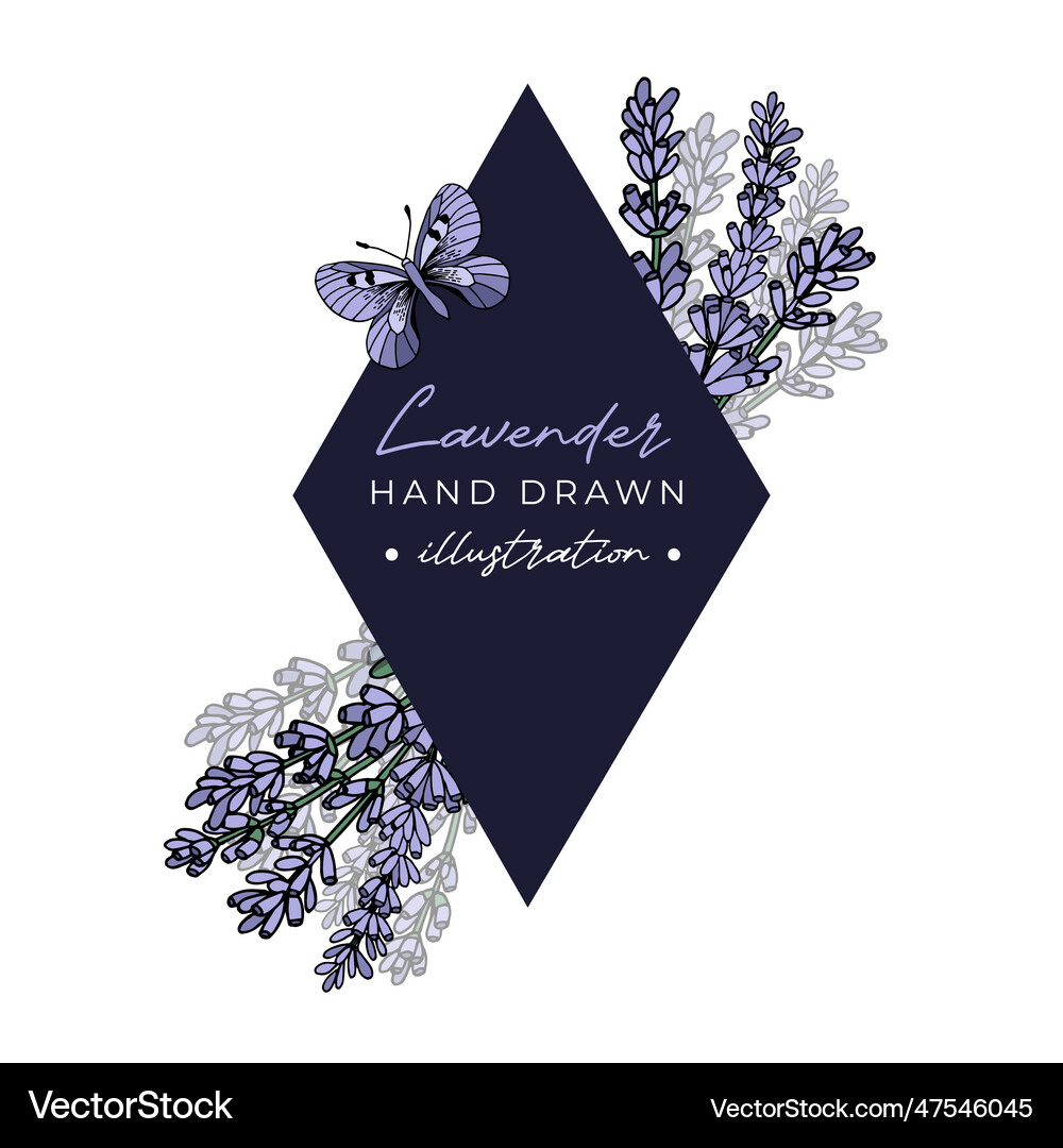 Stylish minimalistic modern label with lavender Vector Image