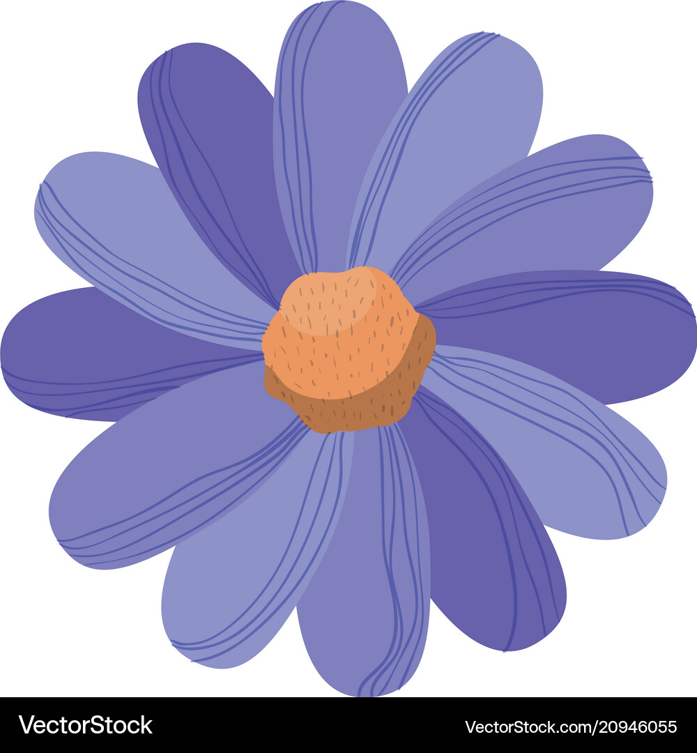Beautiful flower decorative icon Royalty Free Vector Image