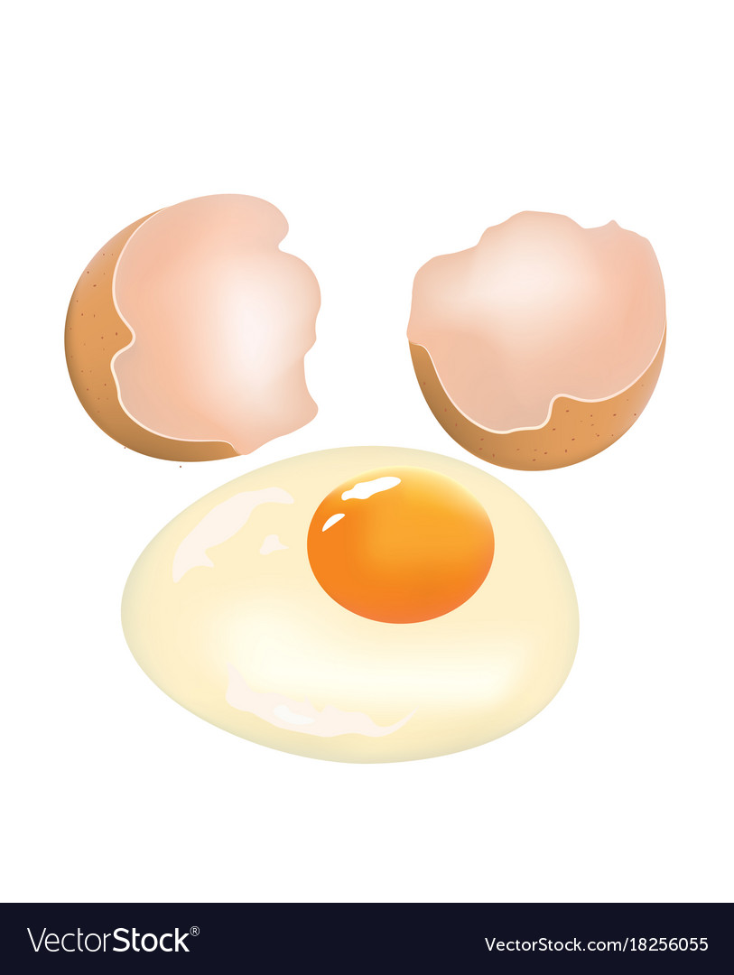 Broken egg with eggshell Royalty Free Vector Image