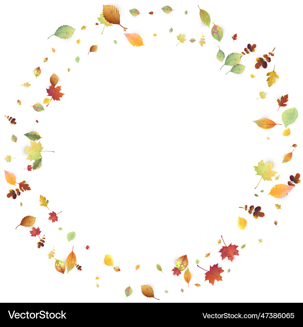 Leaves falling autumn foliage chaotic leaf flying Vector Image
