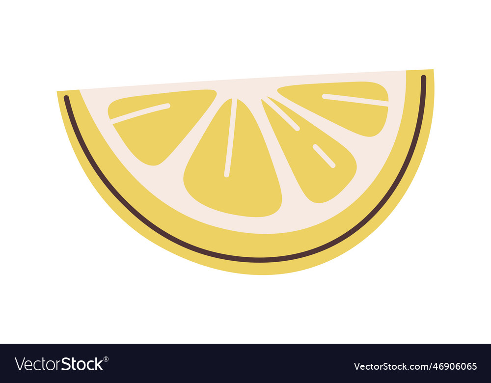 Lemon fruit slice Royalty Free Vector Image - VectorStock