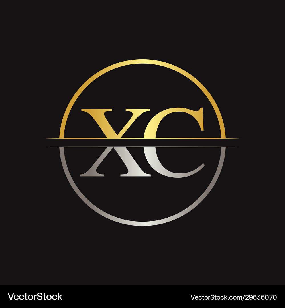 Creative letter xc logo with gold and silver Vector Image