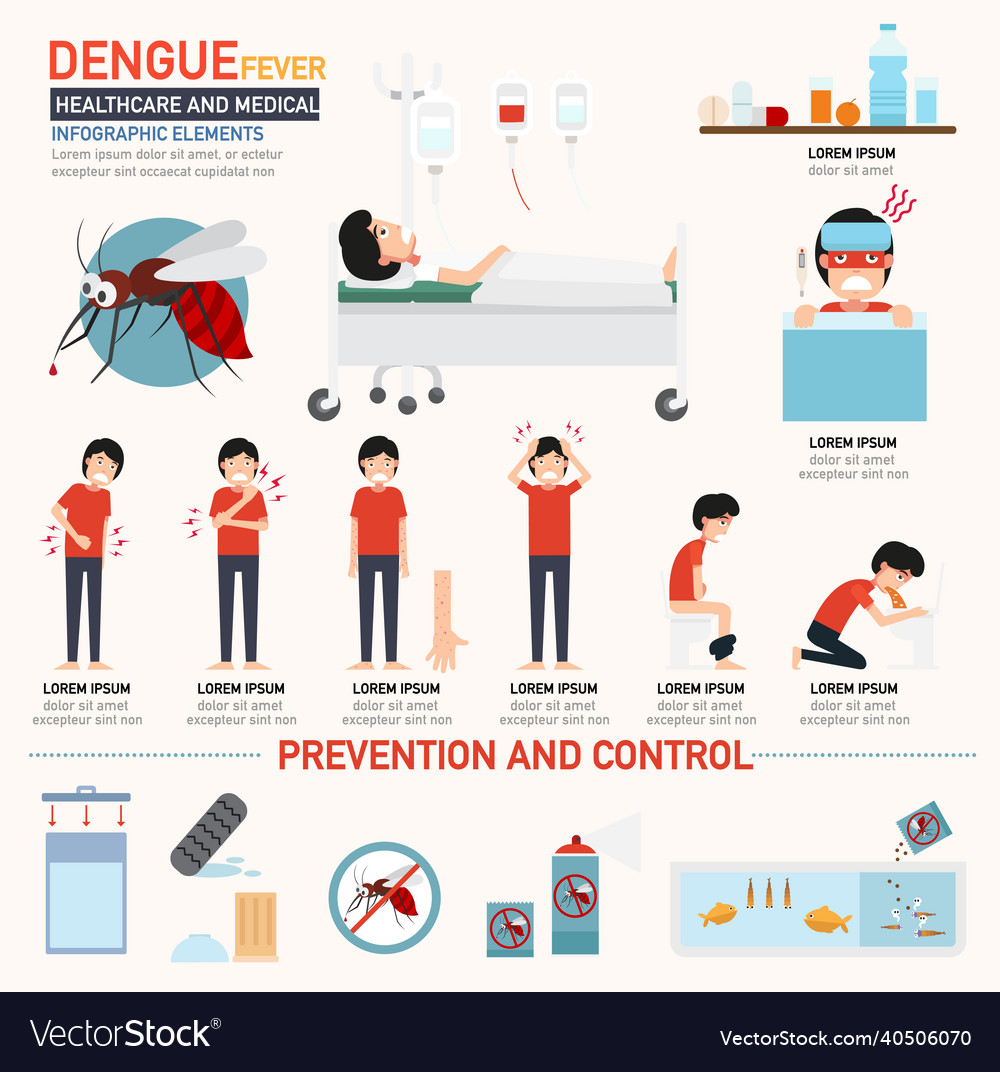 Dengue fever infographics Royalty Free Vector Image
