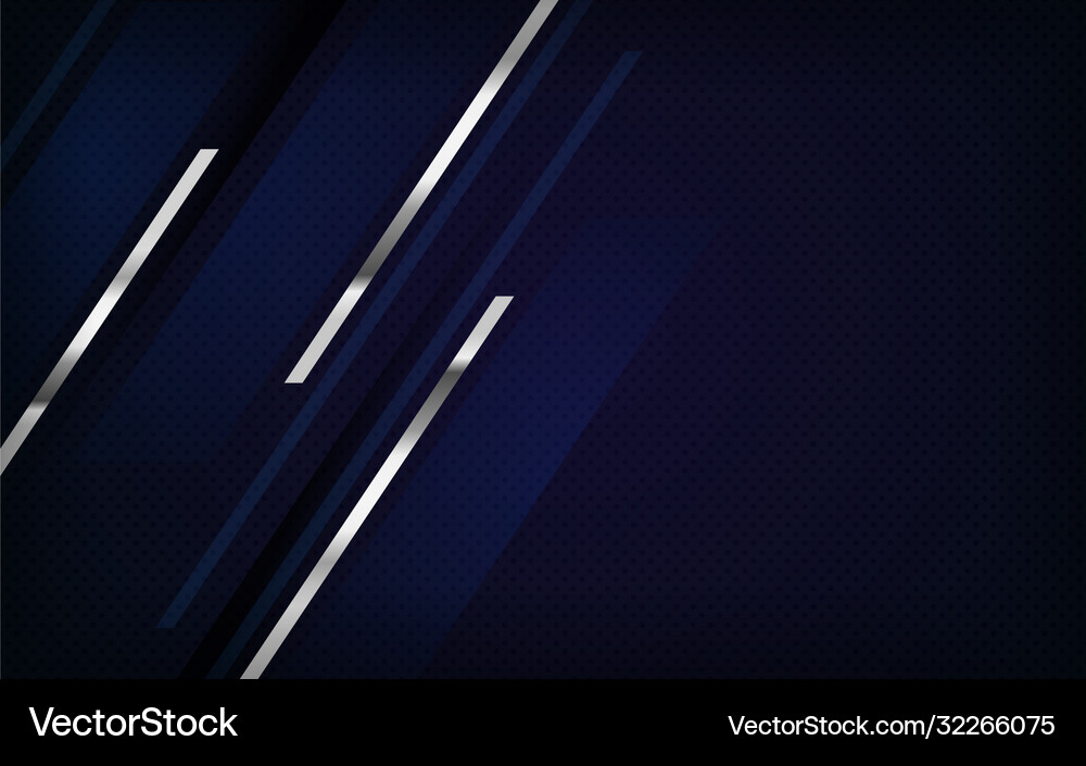 Luxury navy and silver lines combinations Vector Image