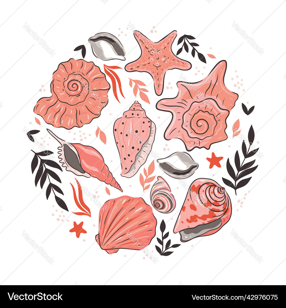Round composition of seashells isolated on white Vector Image